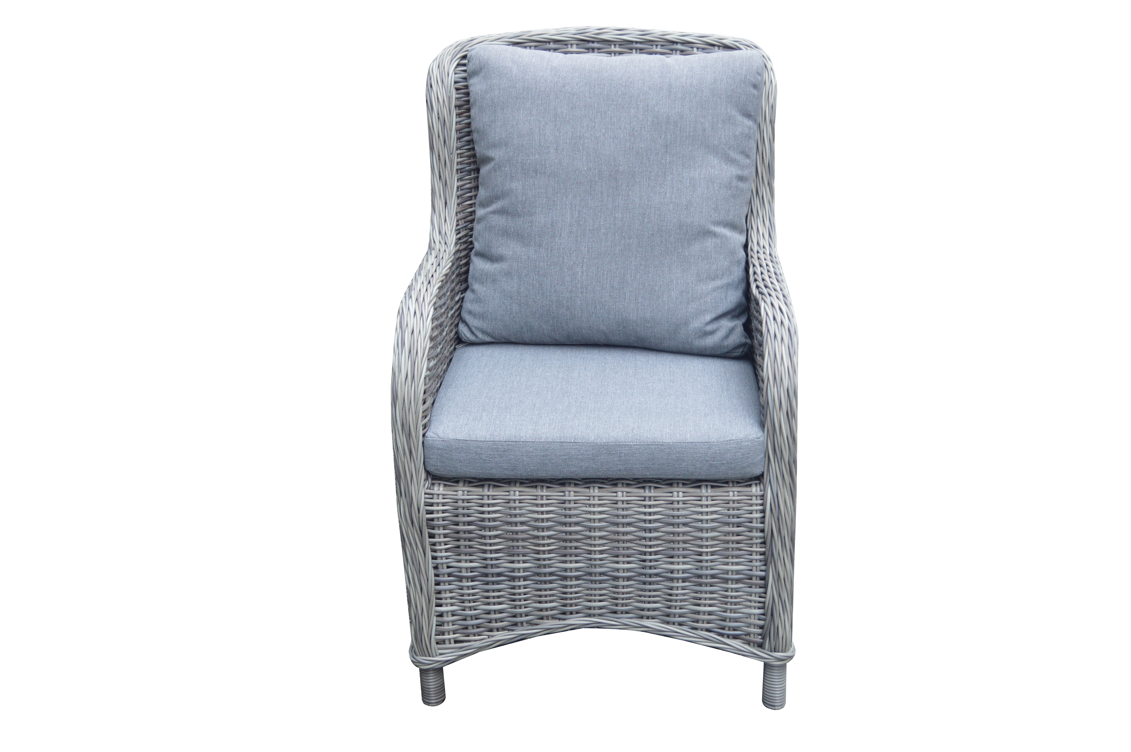 Rome dining stoel - Van der Spek Vers en Tuin - Zevenhuizen